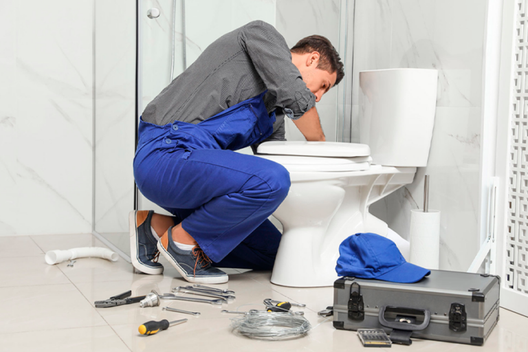 What To Do In Case You Have A Clogged Toilet?